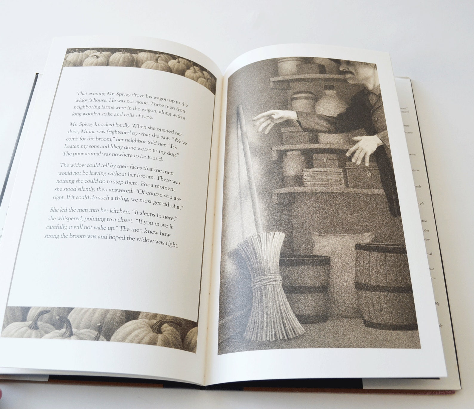 The Widow's Broom Book by Chris Van Allsburg First Edition - Etsy.de