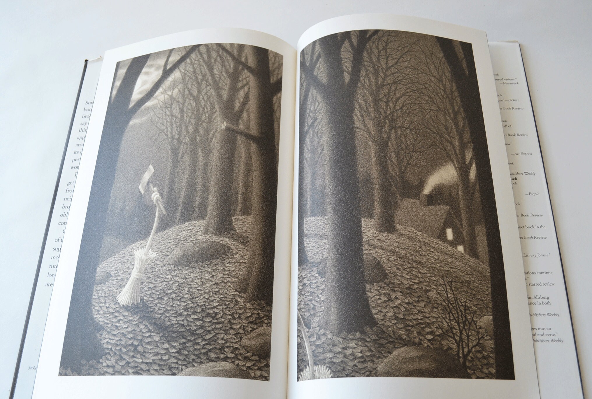 The Widow's Broom Book by Chris Van Allsburg First Edition - Etsy.de
