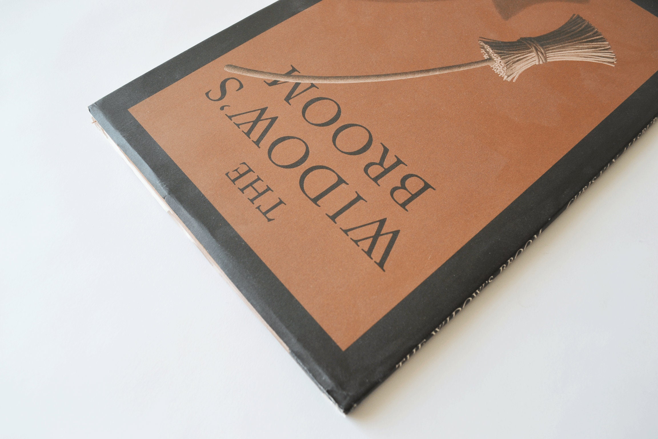 The Widow's Broom Book by Chris Van Allsburg First Edition - Etsy.de