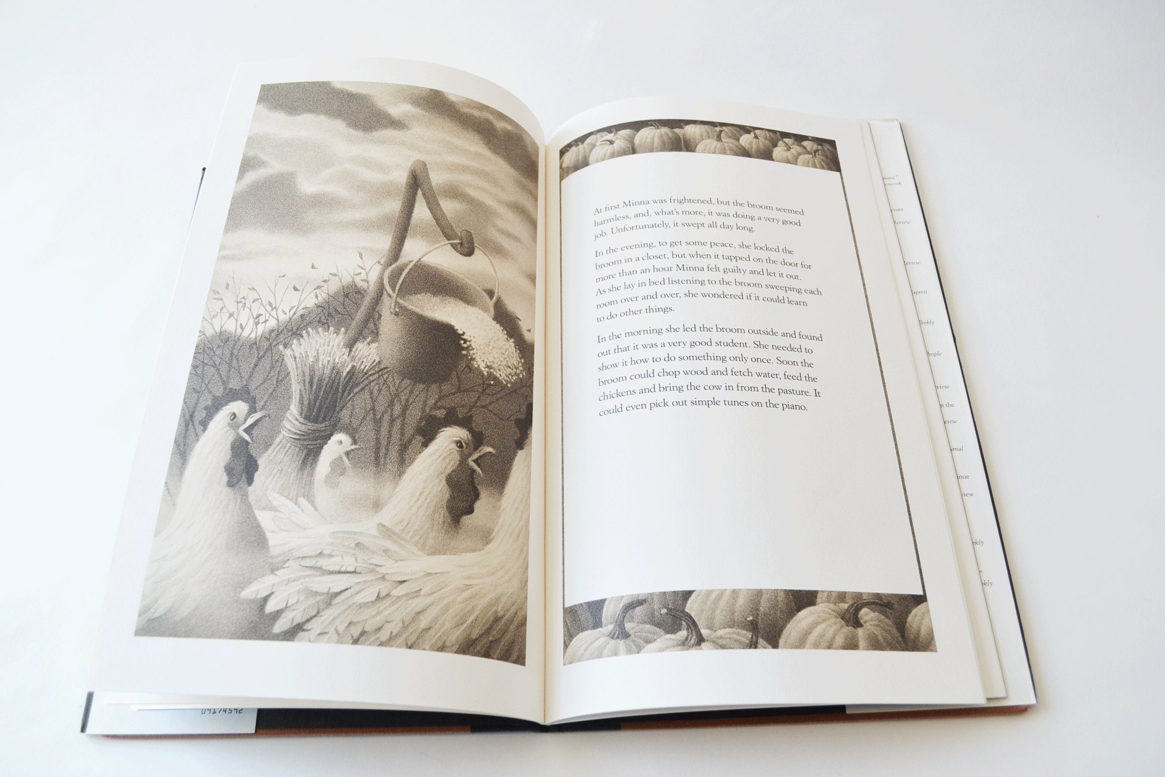 The Widow's Broom Book by Chris Van Allsburg First Edition - Etsy.de