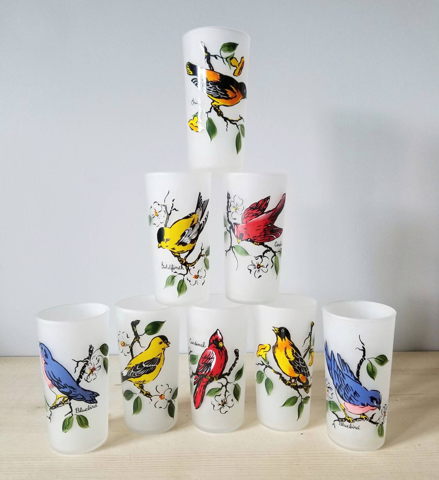 Vintage Hazel Atlas Bird Glasses Frosted Set Of Eight Mid Century Tom Collins Glasses With Holder