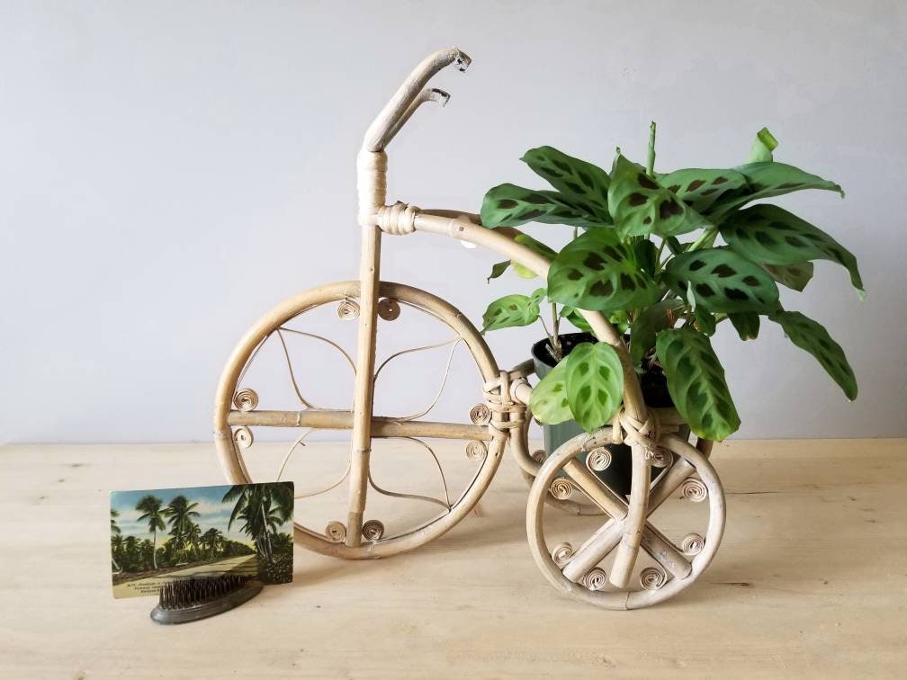Vintage rattan bicycle plant holder | Bentwood planter | Bohemian decor ...