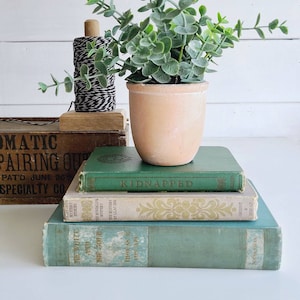 Vintage Set of 3 Colorful Books Green Library Decor Book Stack Vintage ...