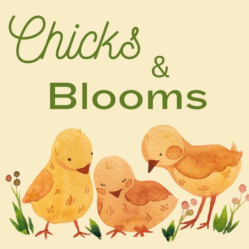 ChicksAndBlooms - Etsy