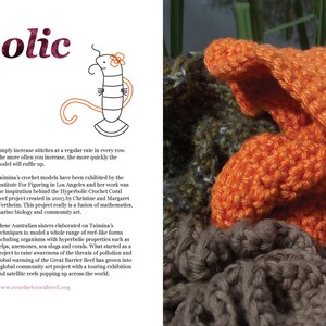 The Woolly Prawn - a Knitting and Crochet Pattern Book With a ...