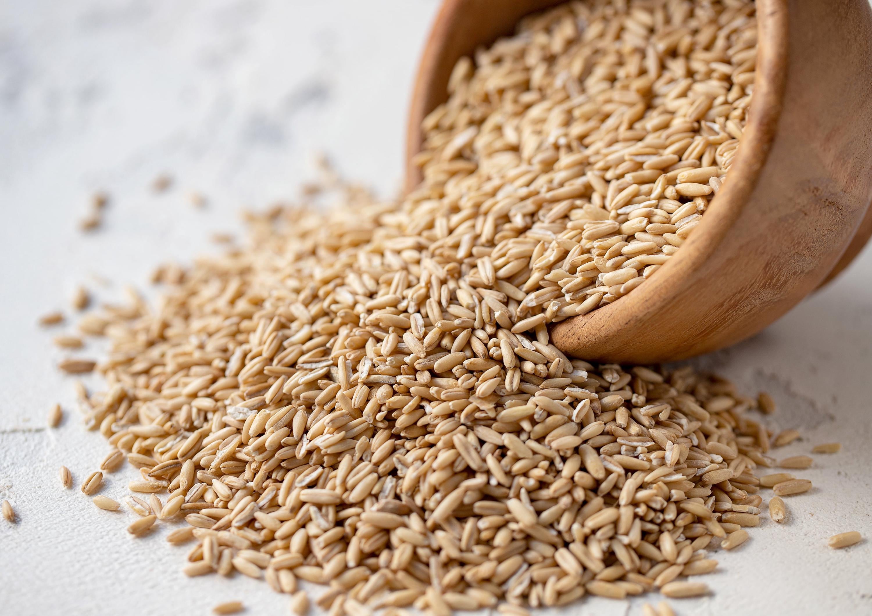 Whole Grain Oat Groats – Oat Berries in Bulk. Kosher Hulless Seeds ...