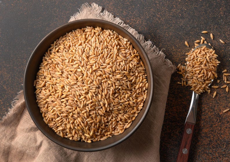 Spelt Berries – A Nutritious Ancient Grain for Healthy Cooking, Baking ...