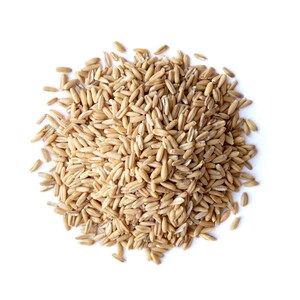 Whole Grain Oat Groats – Oat Berries in Bulk. Kosher Hulless Seeds ...