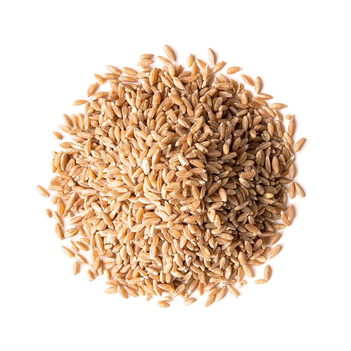 Spelt Berries – A Nutritious Ancient Grain for Healthy Cooking, Baking ...