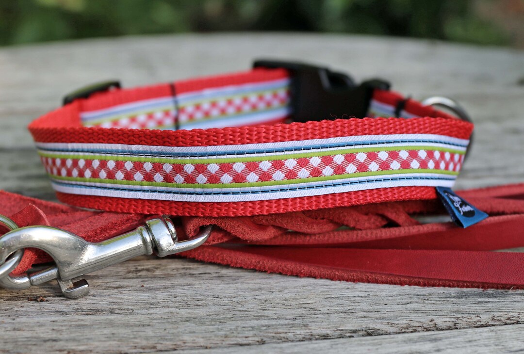 Dog Collar With Click Fastener, Buckle, With Different Designs, Widths ...