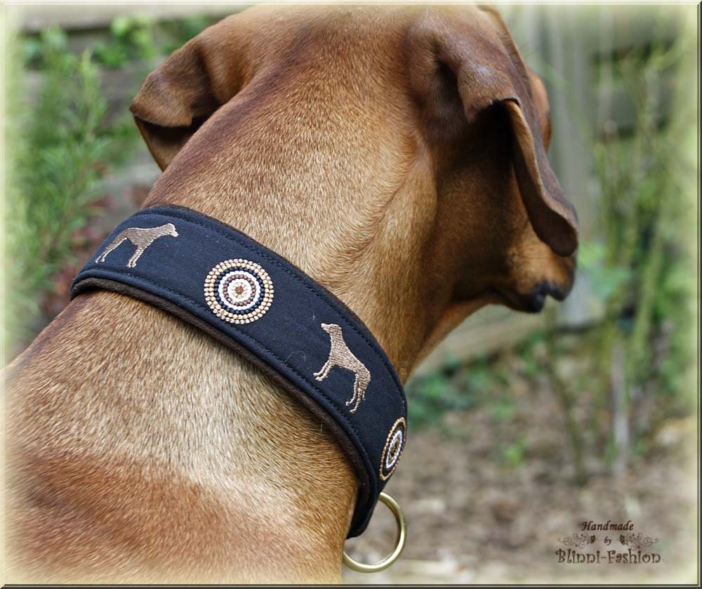 Dog Collar rhodesian Ridgeback Embroidered With 2 - Etsy