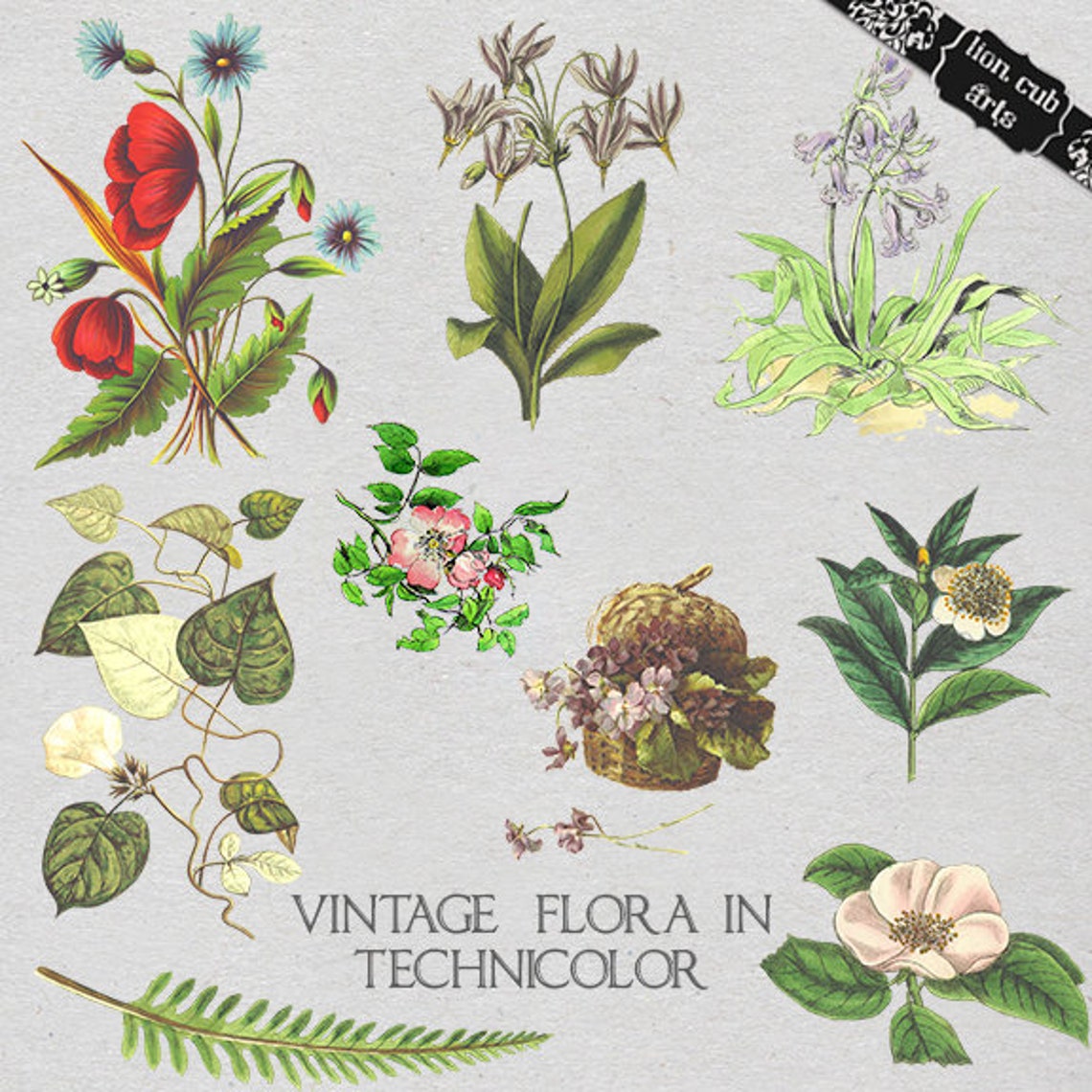 Vintage Flora Digital Scrapbook Kit - 17 PNG Elements - One 12x12 Inch ...