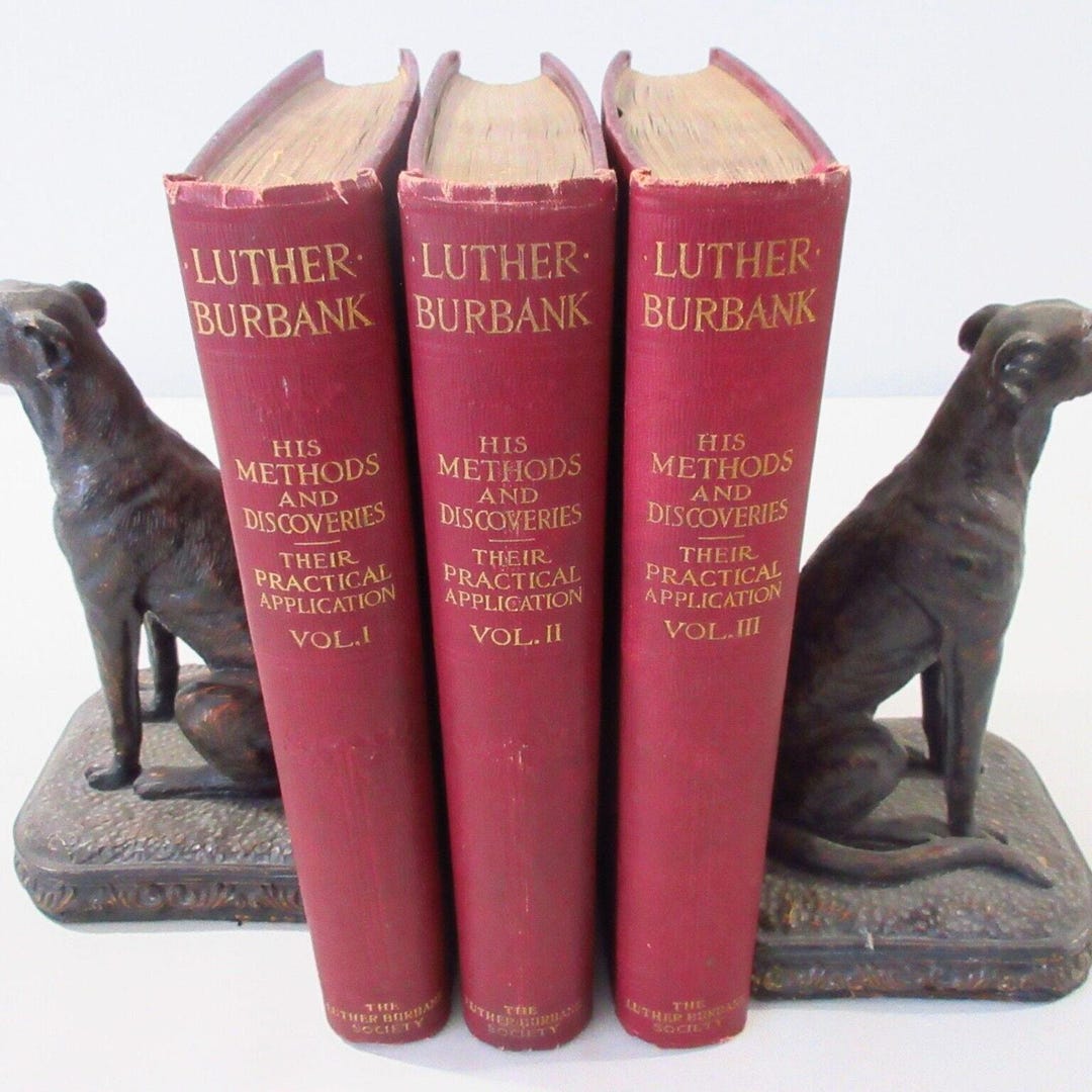 Luther Burbank His Methods Discoveries Their Practical Application ...