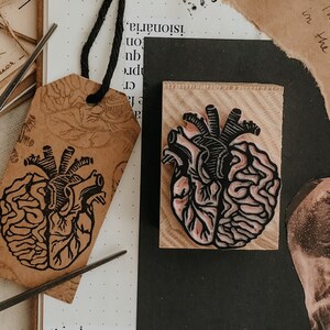 Anatomy Heart Rubber Stamp Anatomical Human Brain Stamp for - Etsy