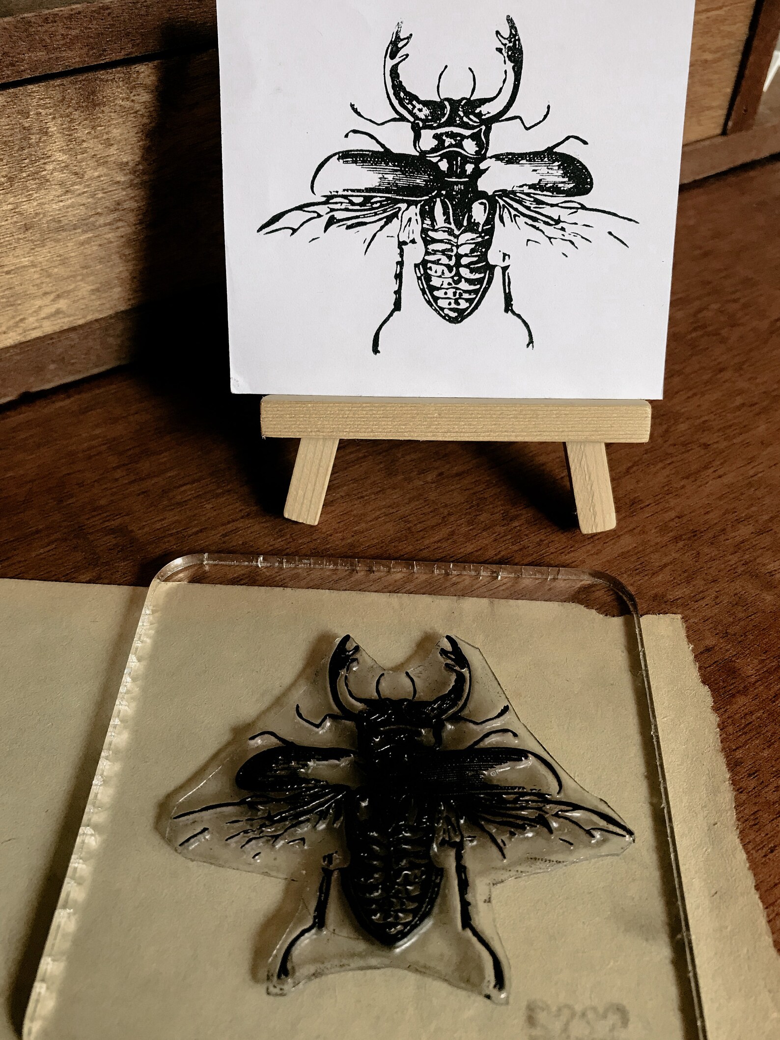 Stag Beetle Stamp for Bug Enthusiast, Insect Impression for Botany ...