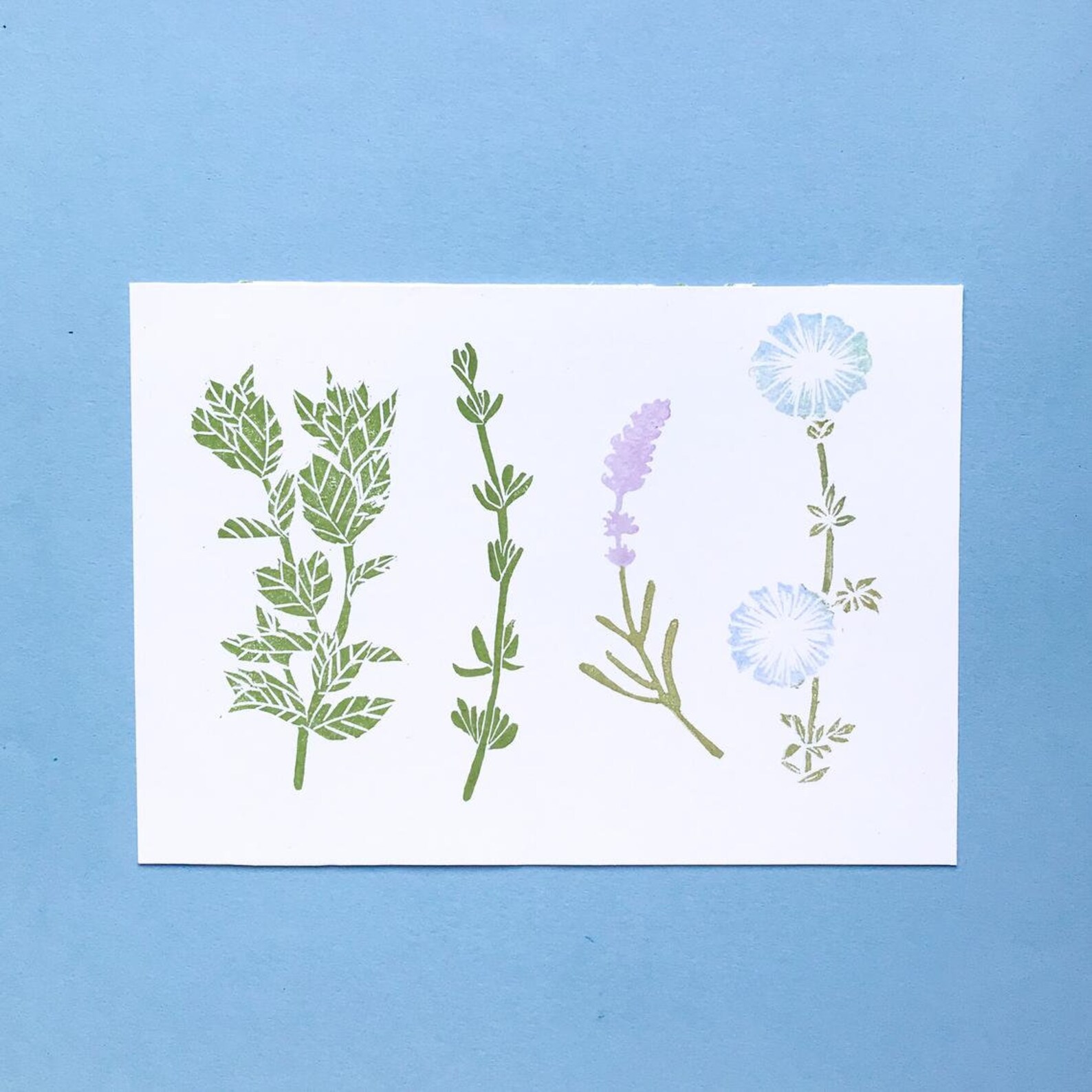 Thyme Herb Rubber Stamp / Herbal Plant Lettering Stamp / | Etsy