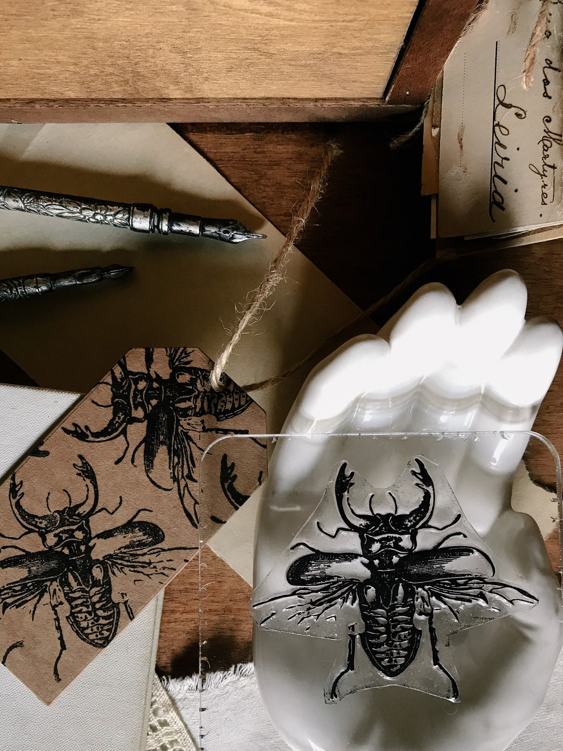 Stag Beetle Stamp for Bug Enthusiast Insect Impression for - Etsy