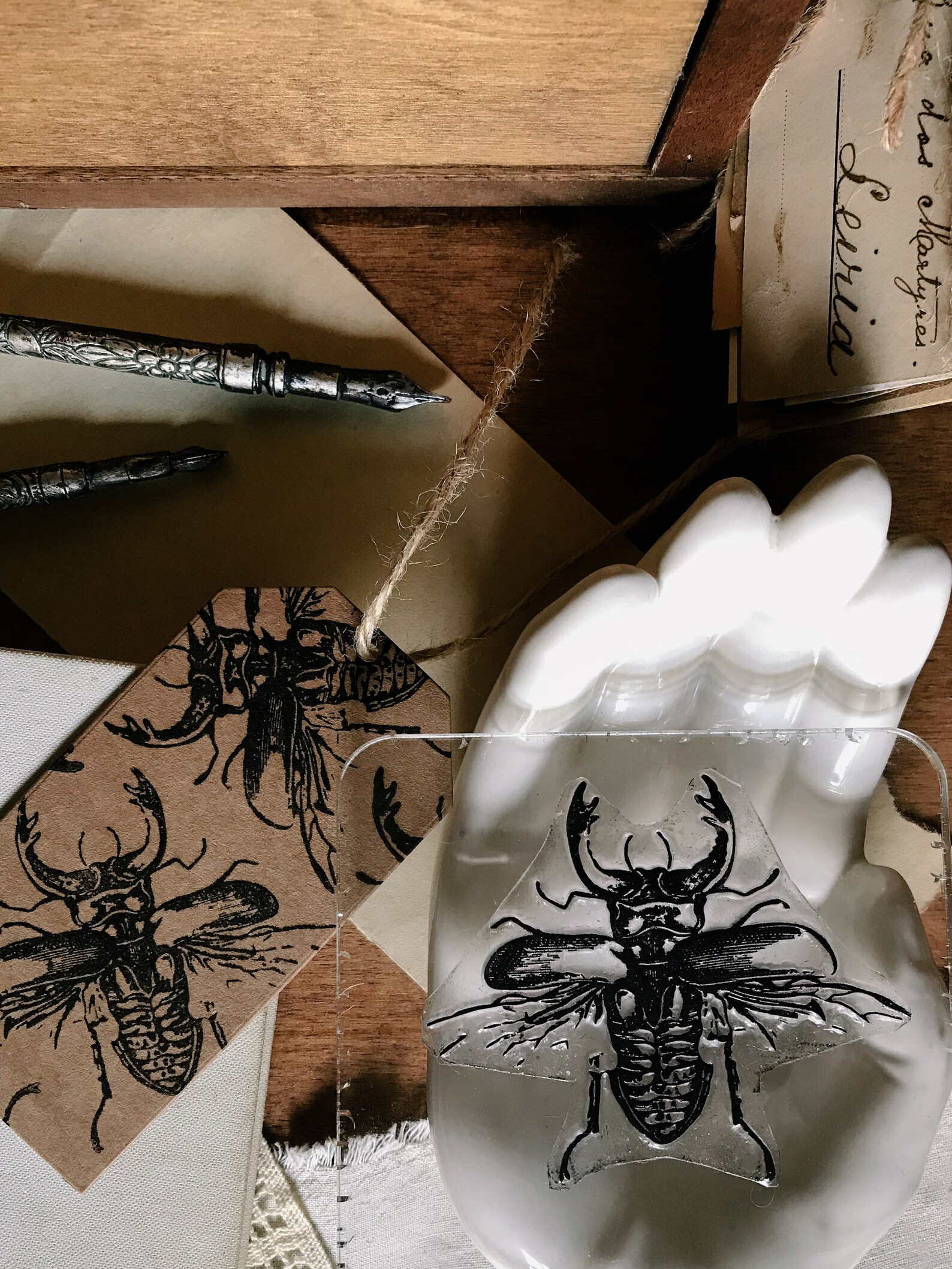 Stag Beetle Stamp for Bug Enthusiast, Insect Impression for Botany ...