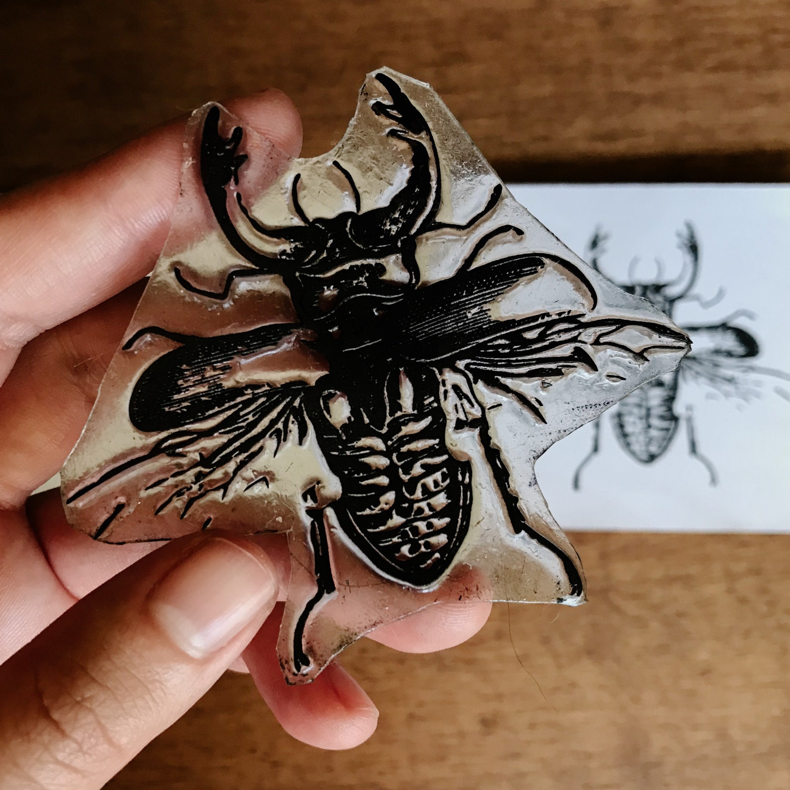 Stag Beetle Stamp for Bug Enthusiast, Insect Impression for Botany ...