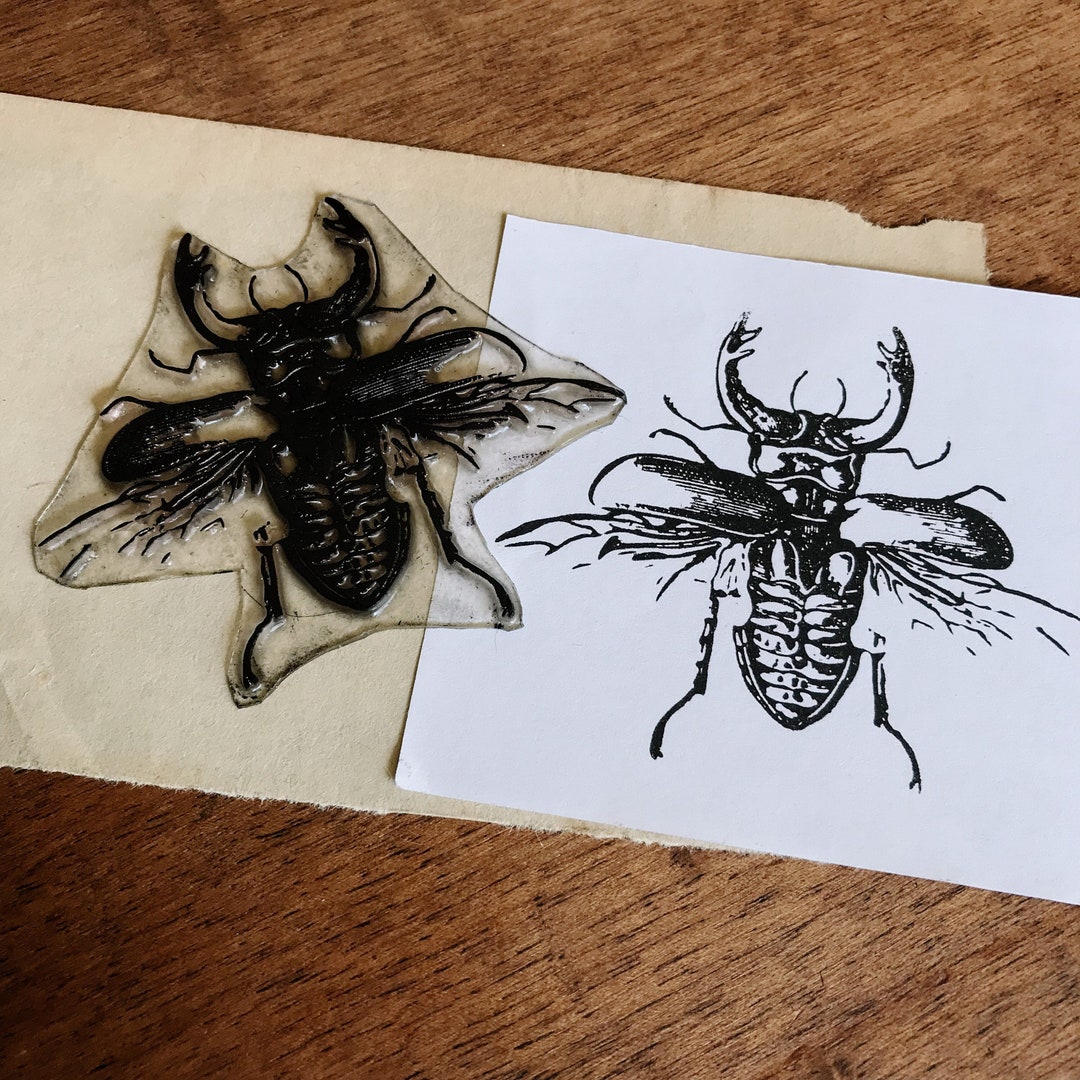 Stag Beetle Stamp for Bug Enthusiast Insect Impression for - Etsy