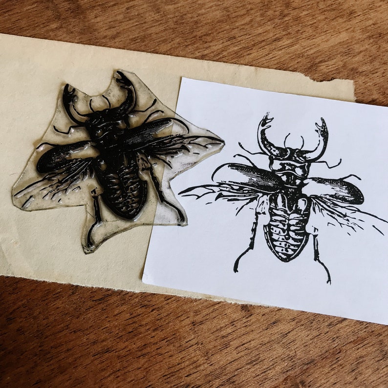 Stag Beetle Stamp for Bug Enthusiast, Insect Impression for Botany ...