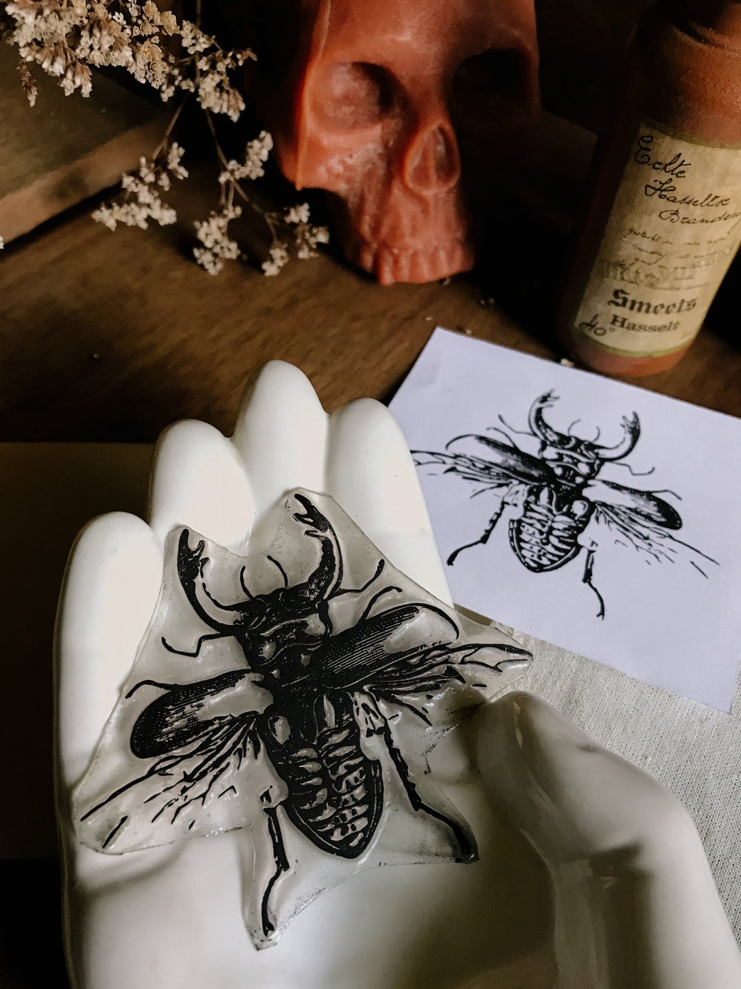 Stag Beetle Stamp for Bug Enthusiast, Insect Impression for Botany ...