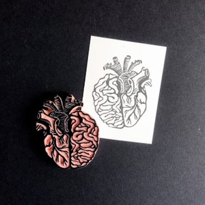 Anatomy Heart Rubber Stamp, Anatomical Human Brain Stamp for Doctor ...