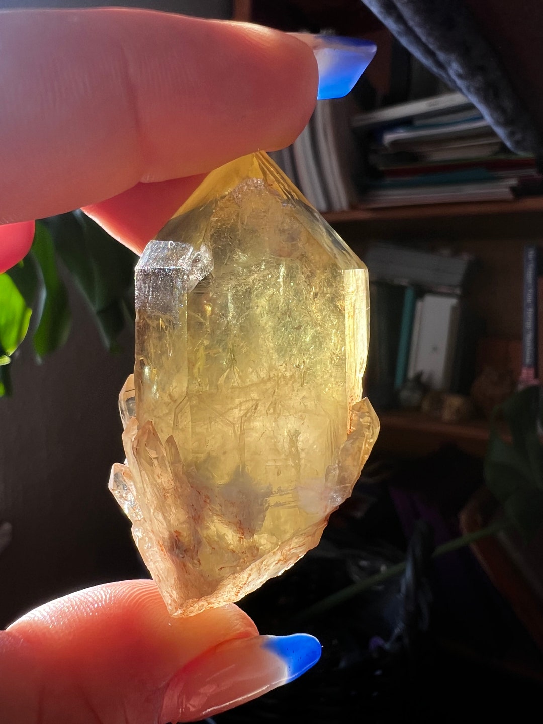 Natural Raw Citrine Crystal Cathedral Cluster Specimen Congo - Etsy