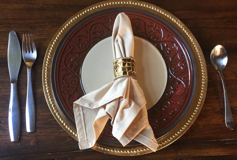 Everyday or Occasion Cloth Napkins / Tan Cloth Cotton Dinner Napkins ...