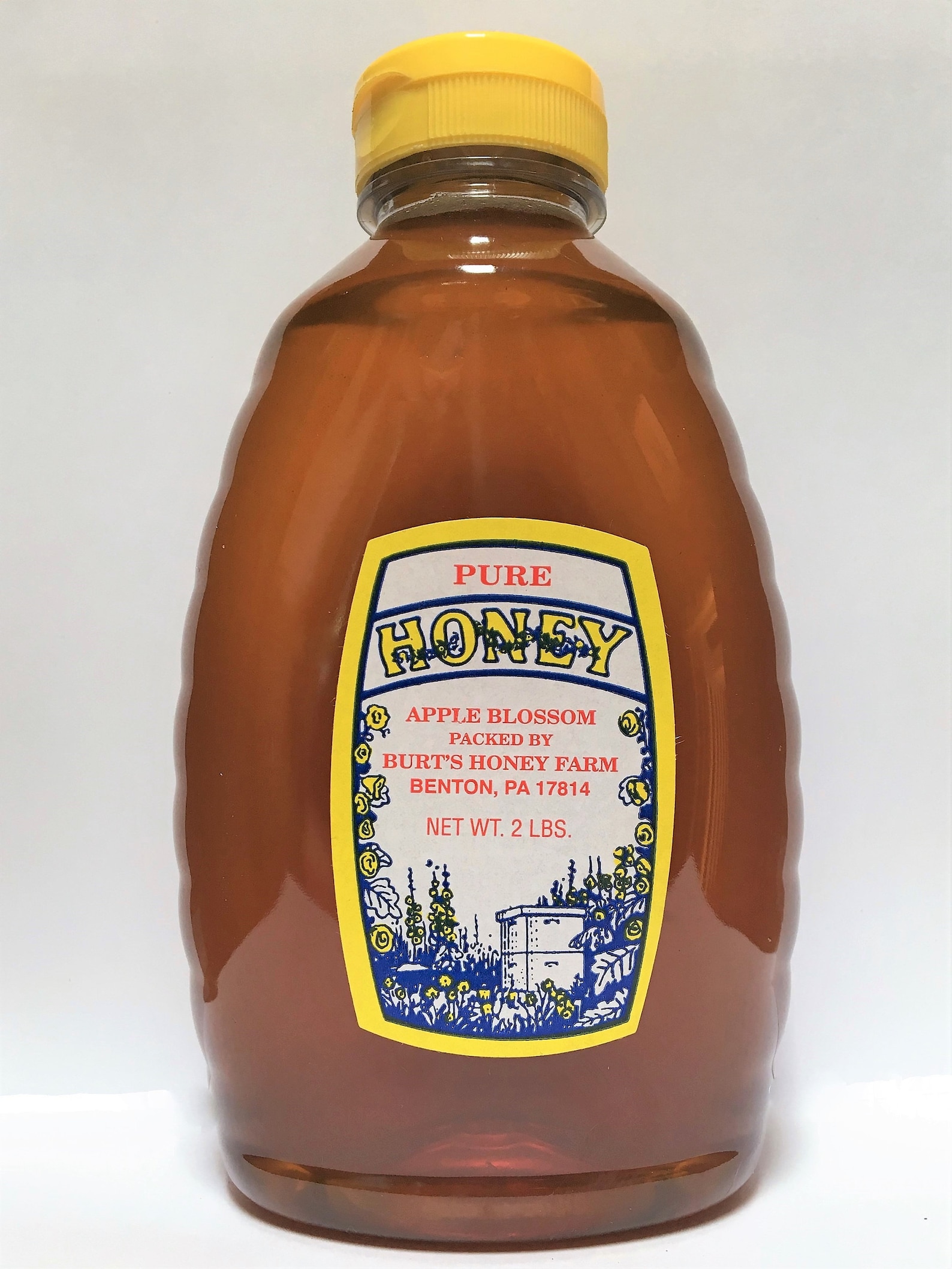 2lb Pure Apple Blossom Honey - Etsy