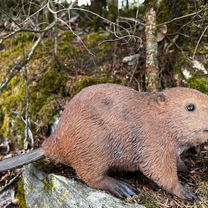 Baby Beaver Kit Figurine / Indoor Outdoor Statue/ Porch, Patio, Yard ...