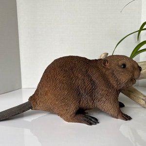 Baby Beaver Kit Figurine / Indoor Outdoor Statue/ Porch, Patio, Yard ...