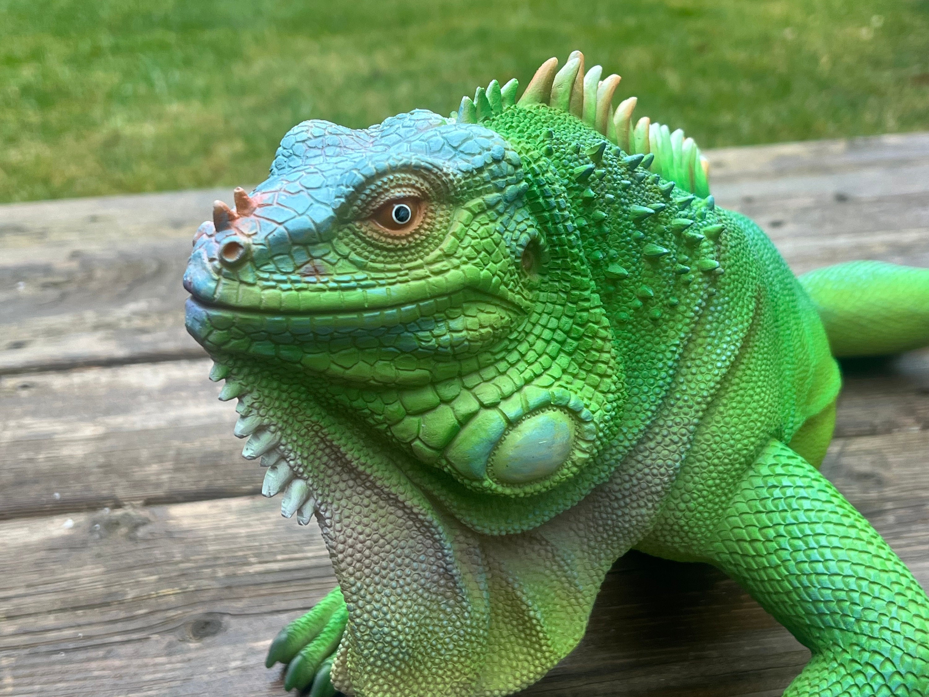 Purple Iguanas