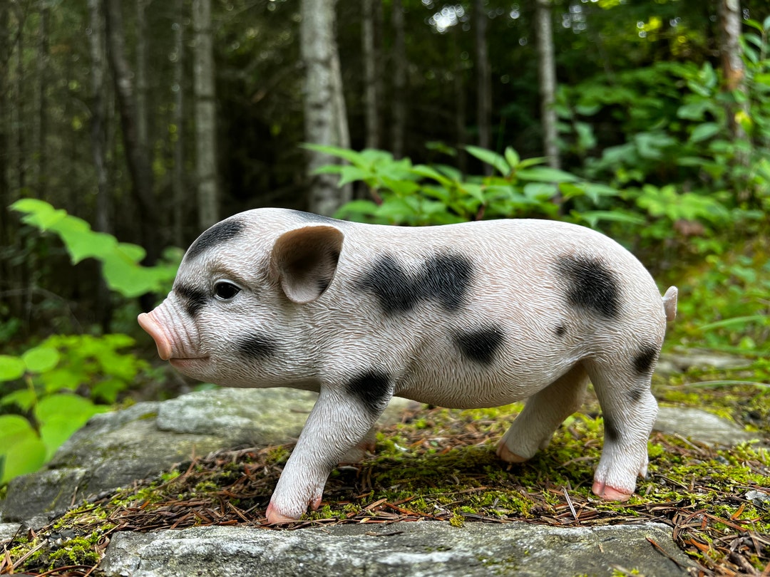 Little Pig Walking Piglet Resin Figurine Statue Ornament 9 Inches Wide ...