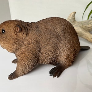 Baby Beaver Kit Figurine / Indoor Outdoor Statue/ Porch, Patio, Yard ...