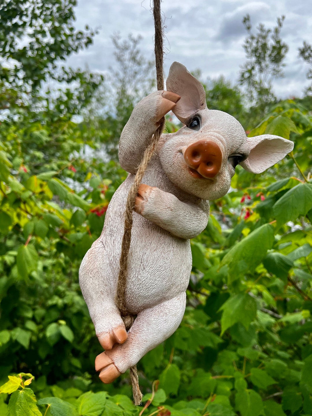 Pig Hanging on a Rope, Hang in There Piggy Playful Pig Trying to Make ...