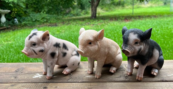 Little Piglets