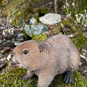 Baby Beaver Kit Figurine / Indoor Outdoor Statue/ Porch, Patio, Yard ...
