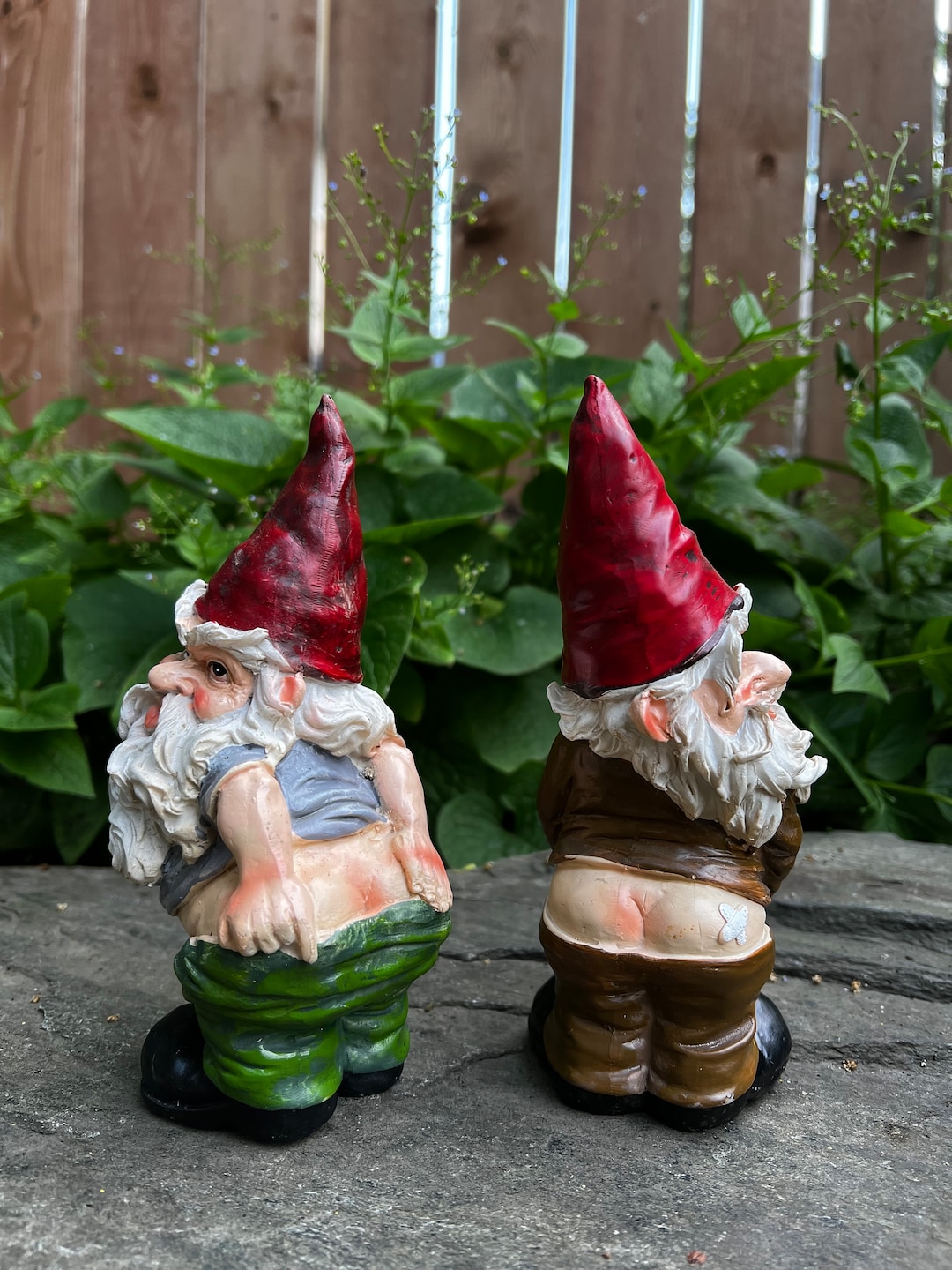 2 Naughty Saucy Garden Gnomes Statues / Showing Butt/ Peeing - Etsy
