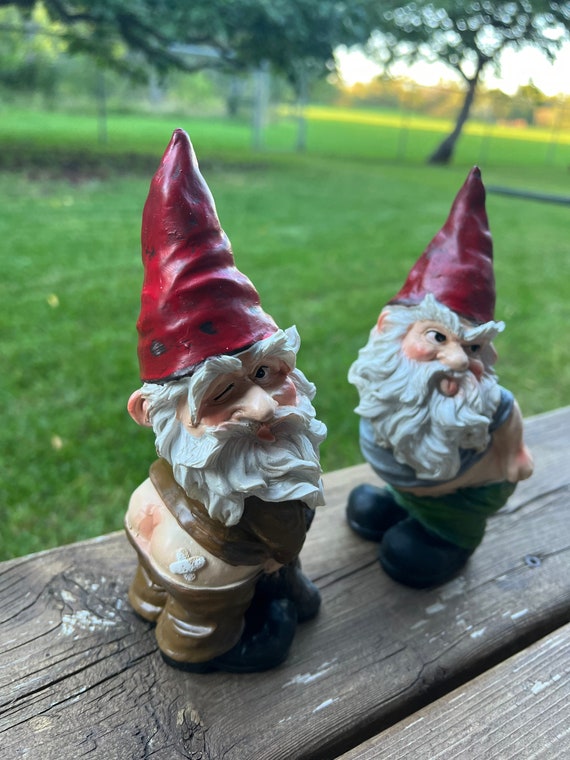 2 Naughty Saucy Garden Gnomes Statues / Showing Butt/ Peeing - Etsy