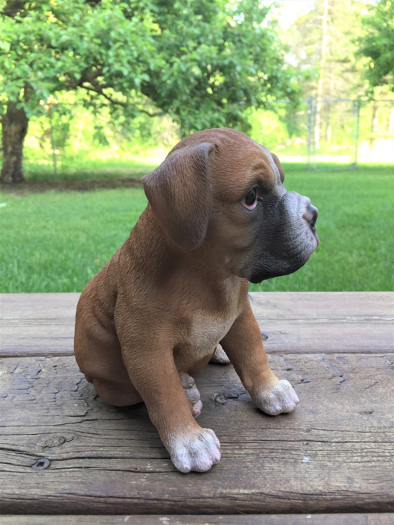 Boxer Puppy Dog Sitting Statue Yard Figurine Resin Indoor - Etsy