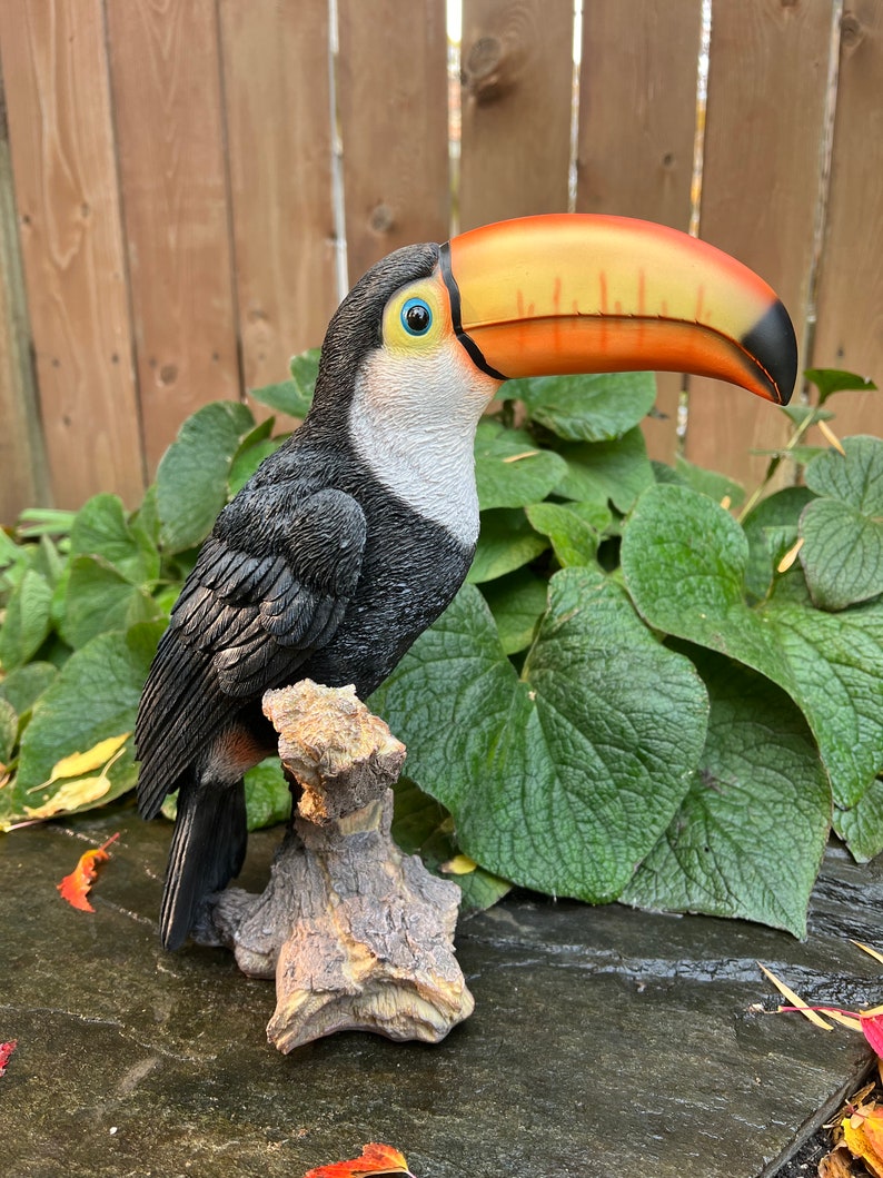 Toucan Tropical Bird Figurine Garden Figurine Decoration - Etsy