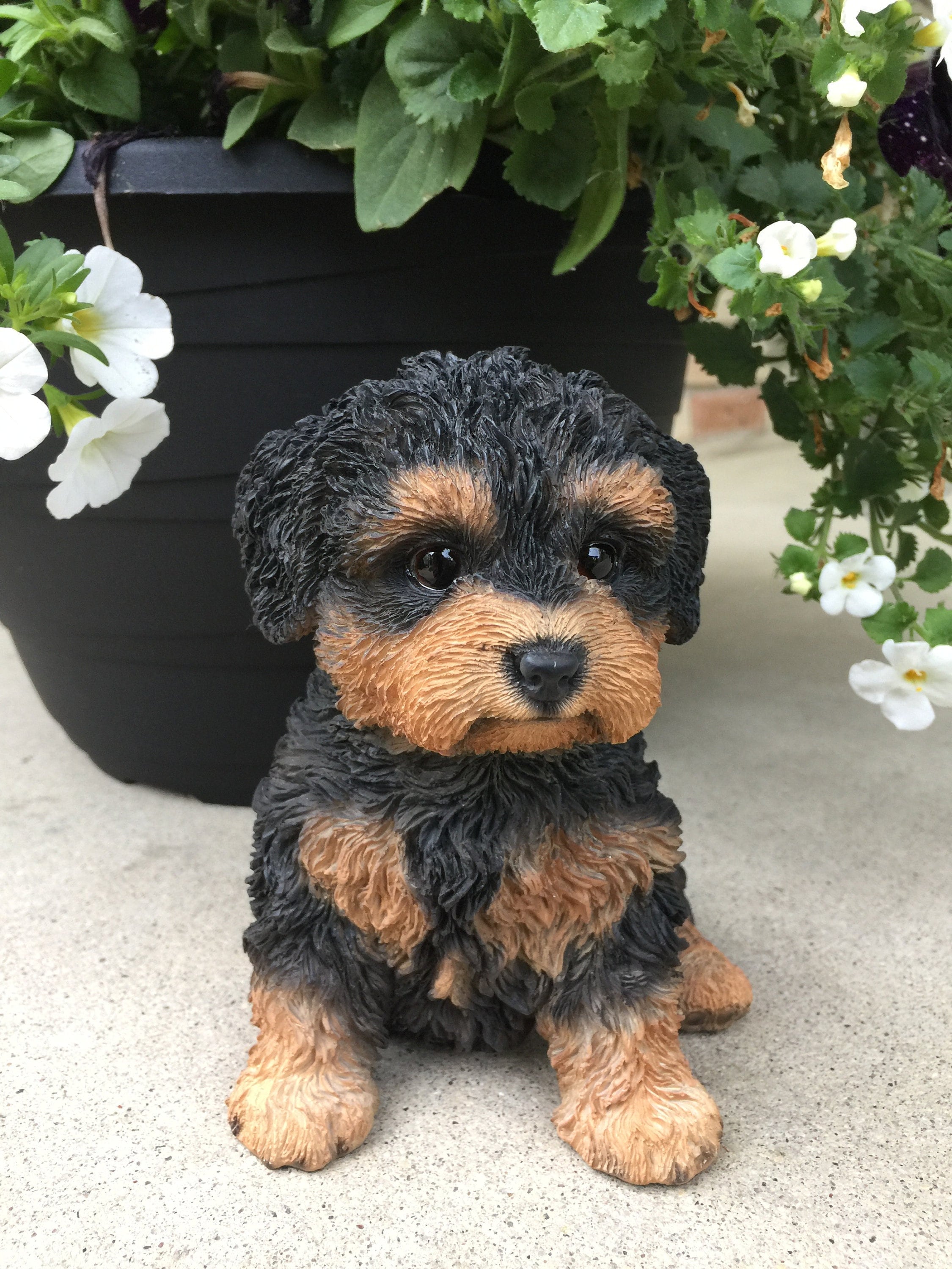 Are Cavapoos High Maintenance