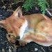 Red Fox Figurine Napping Statue Resin Yard Ornament Lawn Decor Garden ...