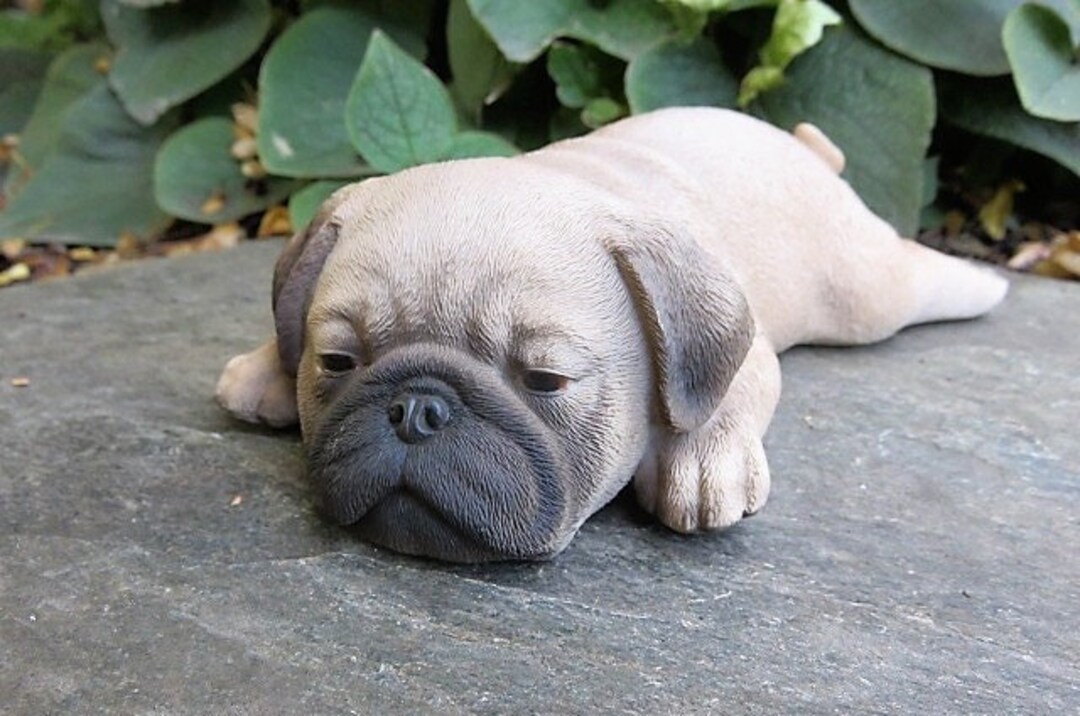 Pug Puppy Dog Figurine All Played Out Having a Nap Home Shelf Desk Yard ...