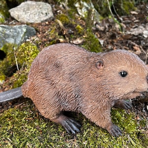 Baby Beaver Kit Figurine / Indoor Outdoor Statue/ Porch, Patio, Yard ...