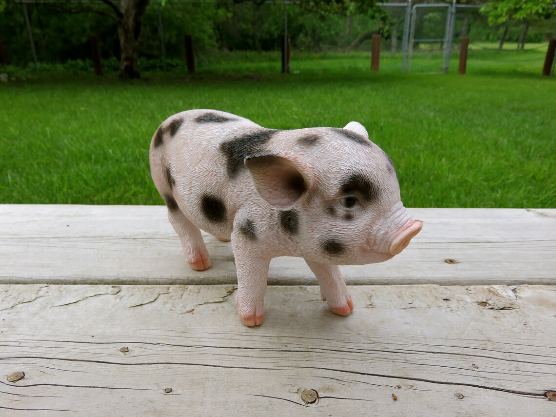 Little Pig Walking Piglet Resin Figurine Statue Ornament 9 - Etsy
