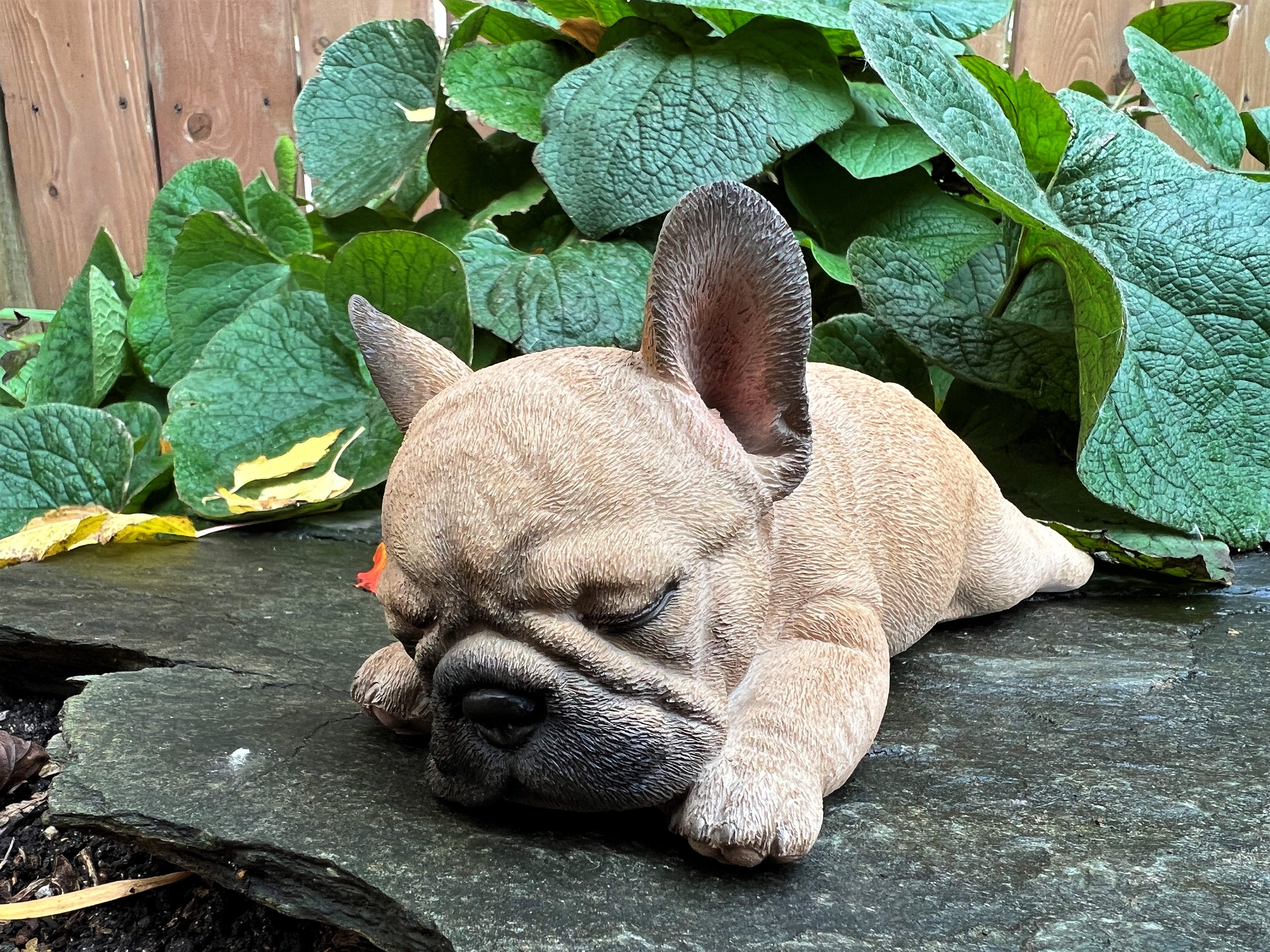 Do French Bulldog Puppies Sleep A Lot