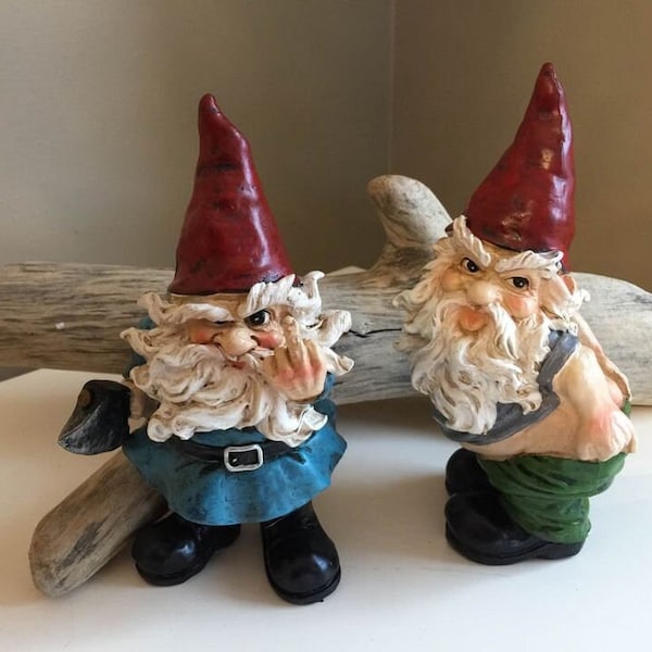 Naughty Garden Gnomes - Etsy