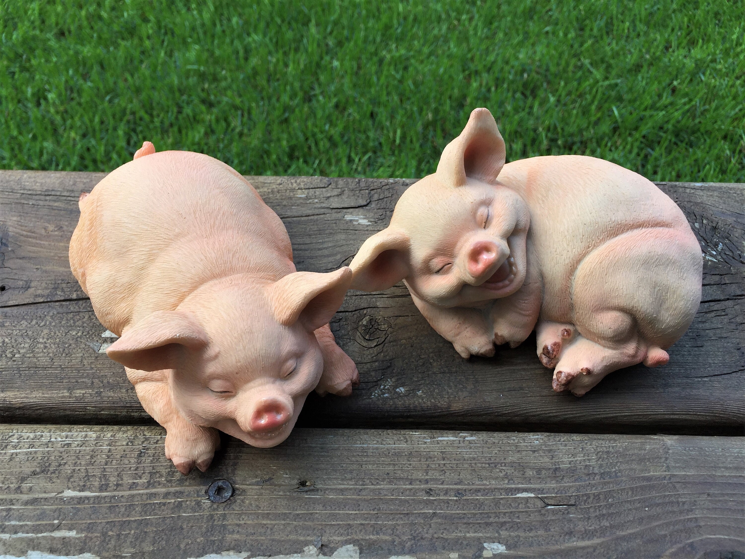 Laughing Pig Figurines
